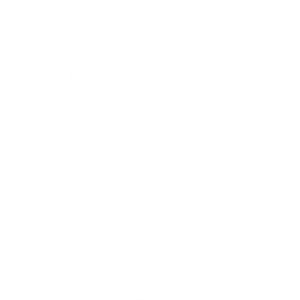 The Streets Official Site